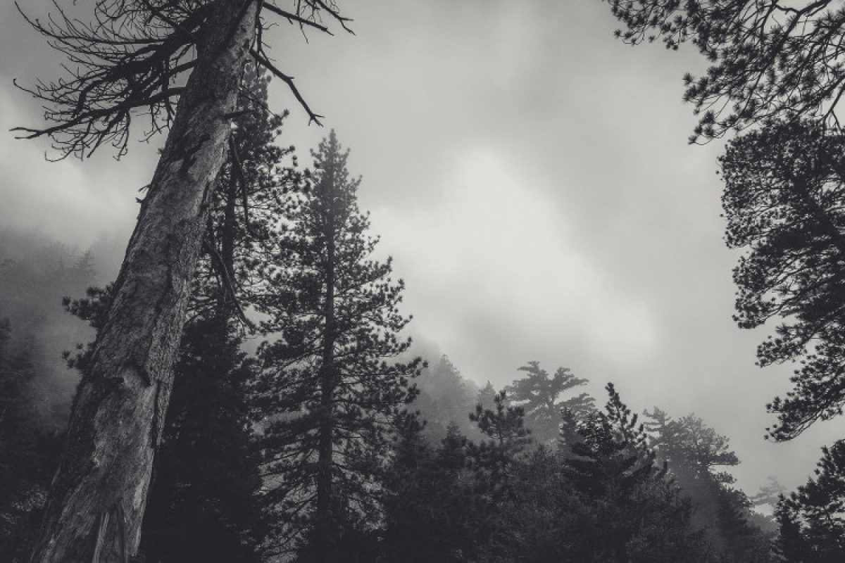 Why Spirits And Ghosts Attach Themselves To Certain People - 7th Sense ...